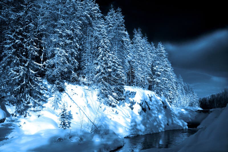 End of Evening in Deep Forest Lake Stock Photo - Image of pine ...