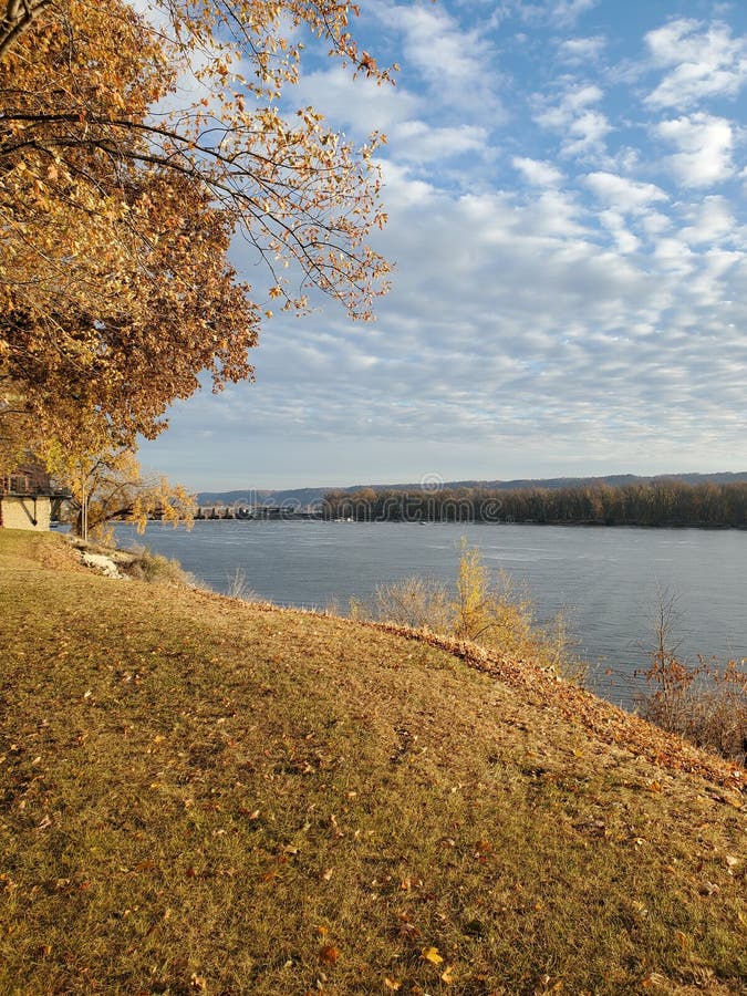 End of fall leaves stock image. Image of soil, reflection - 267511637