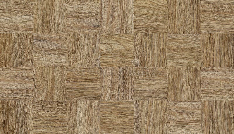 End Grain Surface As Background, Closeup. Wooden Texture Stock Image ...