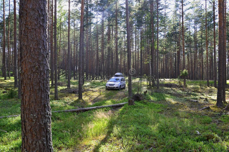 The End of the Road. a Car with an Autobox in the Forest Stock Photo ...