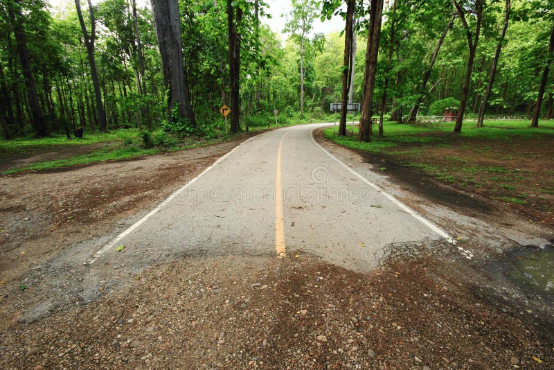 End of road in forest stock image. Image of landscape - 25181749