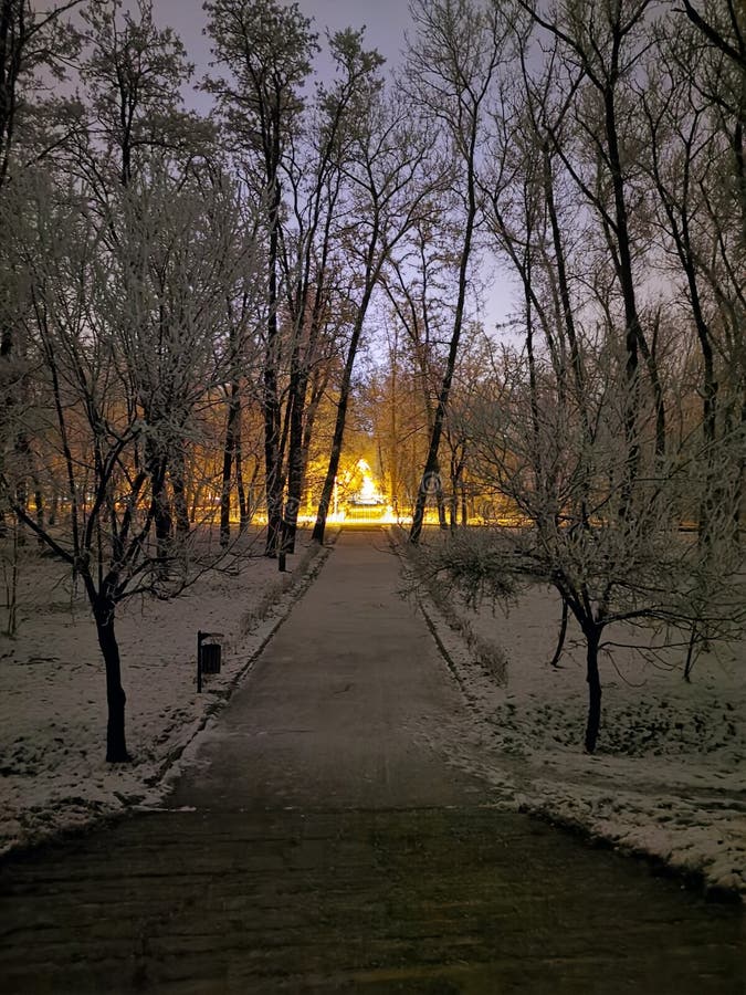 End of the Road Holds the Light Stock Image - Image of nature, snow ...