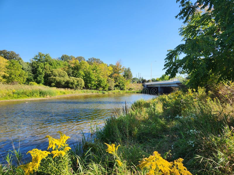 End of Summer Weather Bridge and Trees Stock Photo - Image of woodland ...
