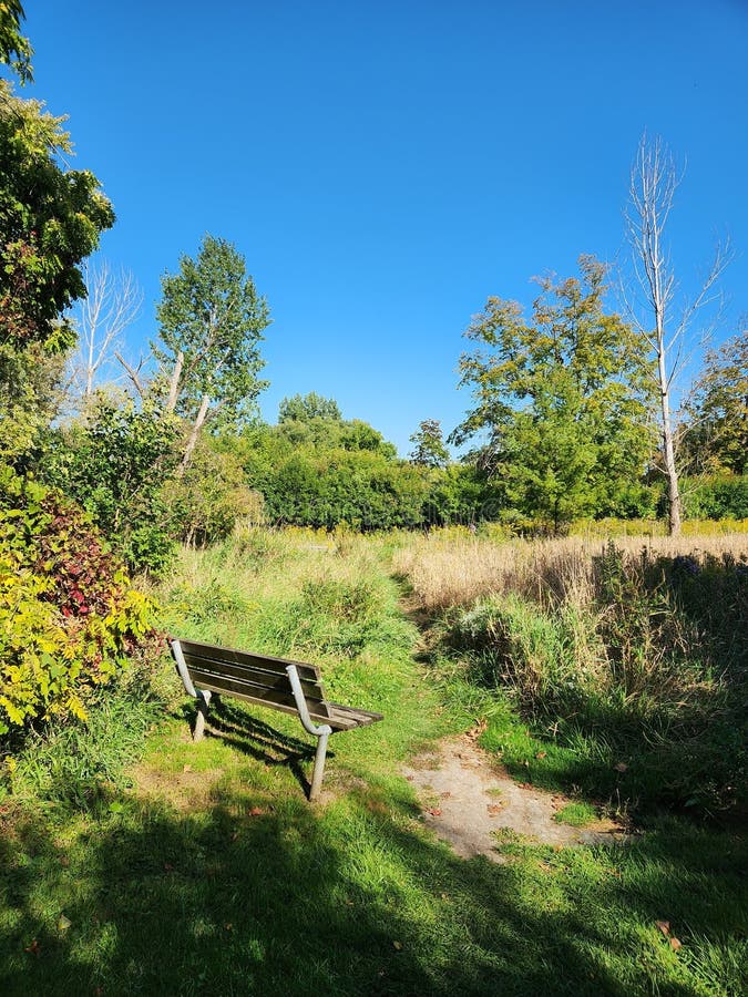 End of Summer Weather Bench Trail and Trees Stock Photo - Image of ...
