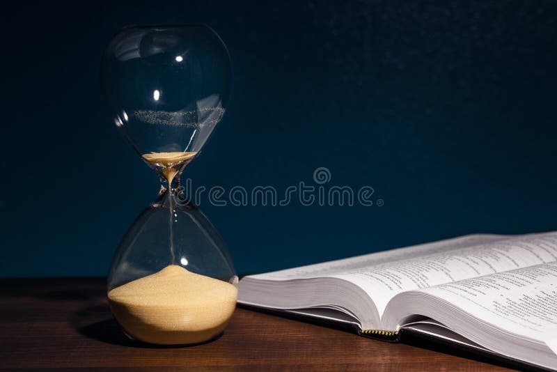 Daisy flower in the desert stock photo. Image of care - 44033598