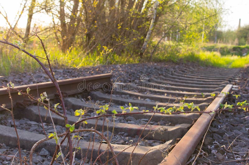 End of track stock photo. Image of tracks, track, narrow - 70653120