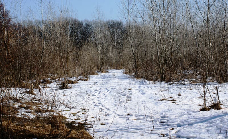 At the End of Winter, a Path Covered with Snow Leads To a Sleeping ...