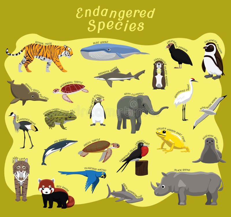 Endangered Species Animal Set Cartoon Vector Illustration Stock Vector ...