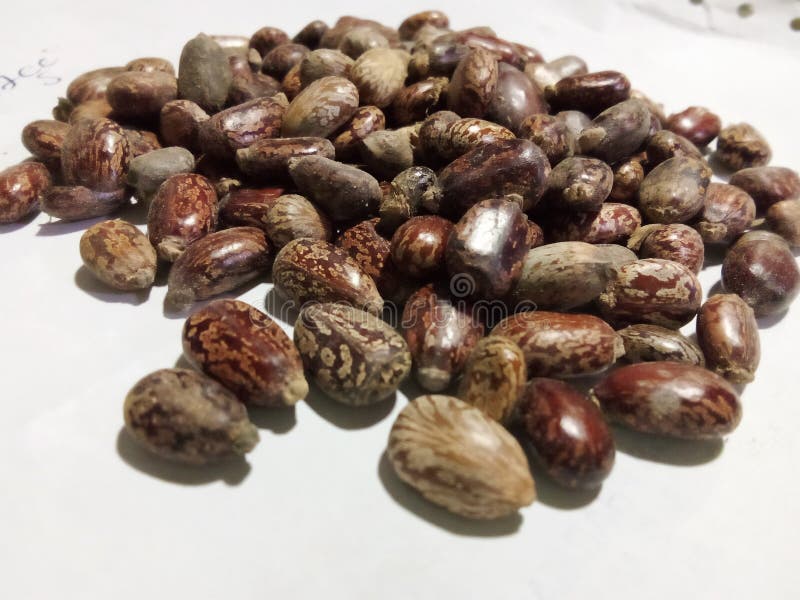 Endaru Stock Photos - Free & Royalty-Free Stock Photos from Dreamstime