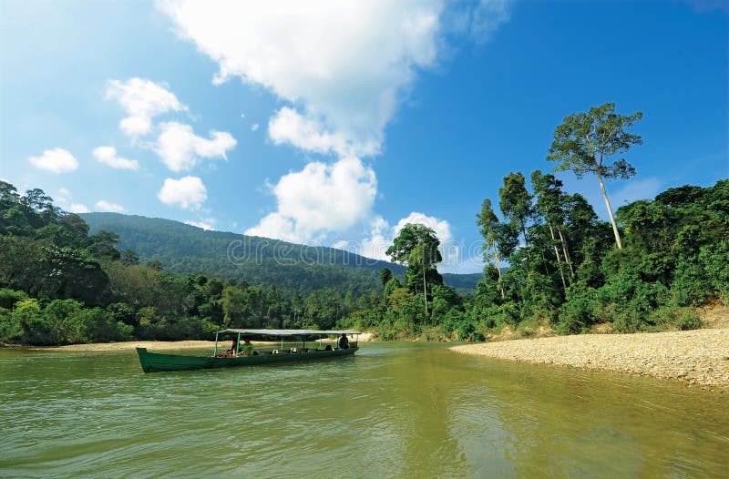 Endau rompin editorial stock image. Image of hills, rompin - 144871539
