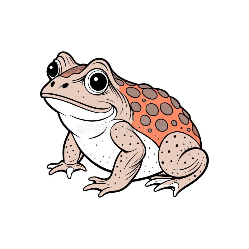 Endemic Toad Outline for Kids Stock Illustration - Illustration of ...