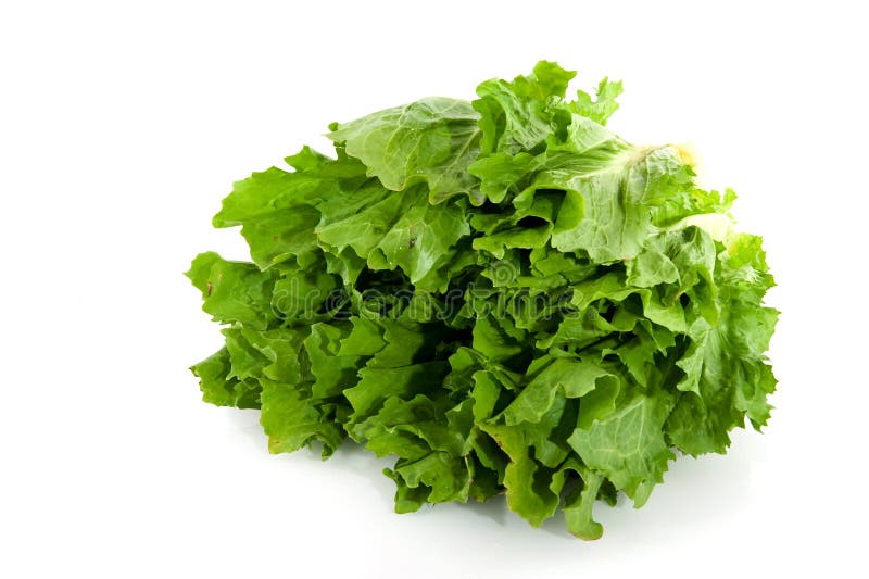 Cabeza De La Lechuga De La Endibia De La Escarola Desde Arriba Sobre ...