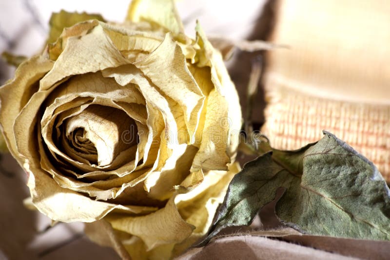 Ending stock image. Image of lost, dead, neglected, dying - 16022687