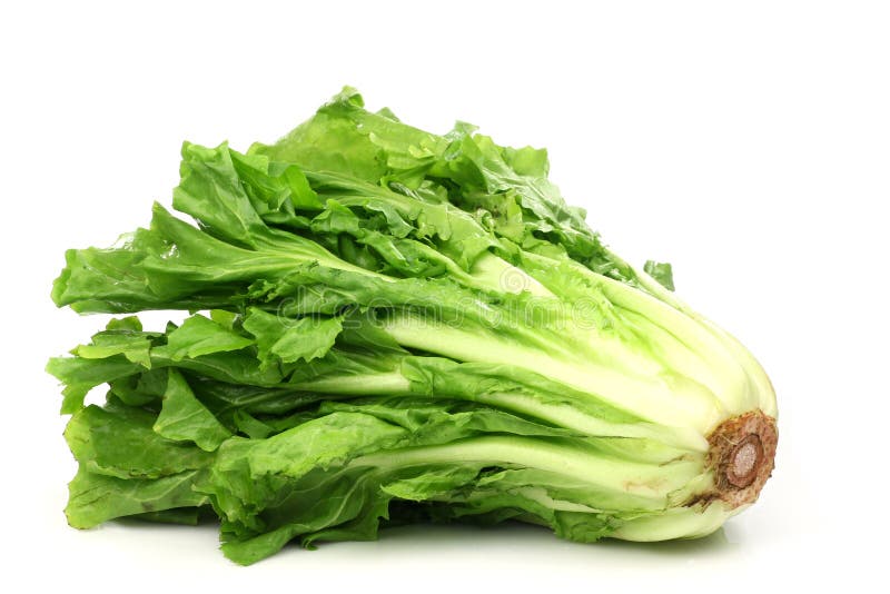 Endive stock image. Image of isolated, endive, nutrition - 4418579