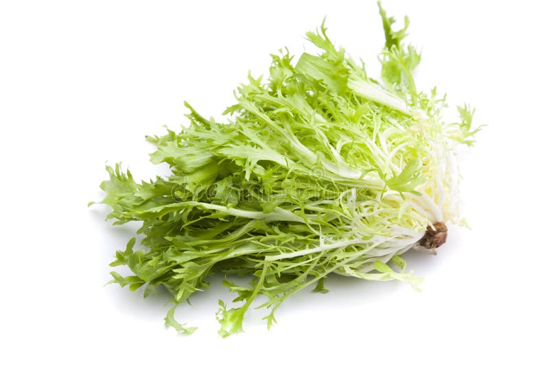 Endive stock image. Image of isolated, endive, nutrition - 4418579