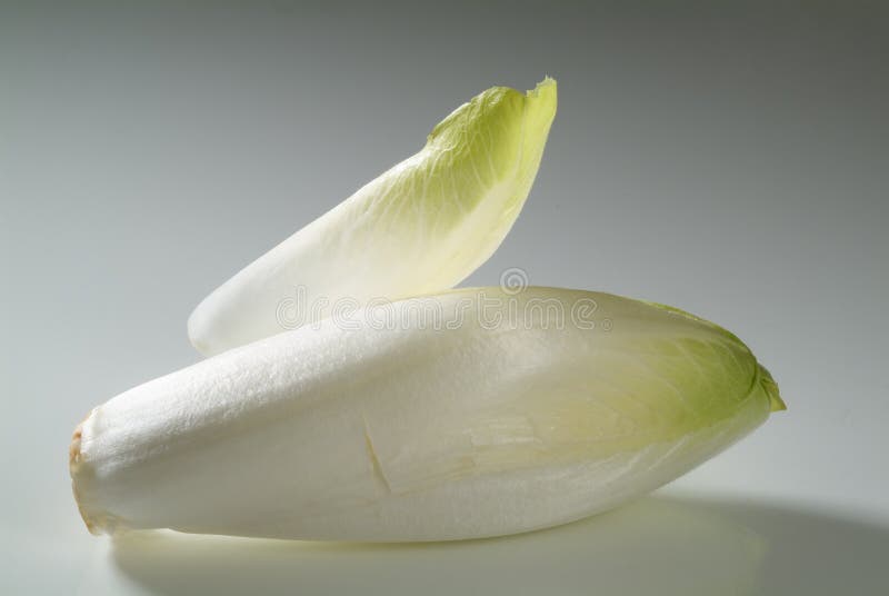 Endive stock photo. Image of white, cultivated, belgian - 461378