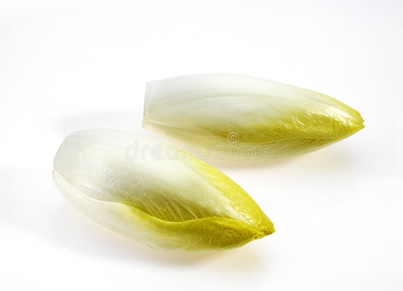 Endive stock photo. Image of botany, life, vegetable - 170403096