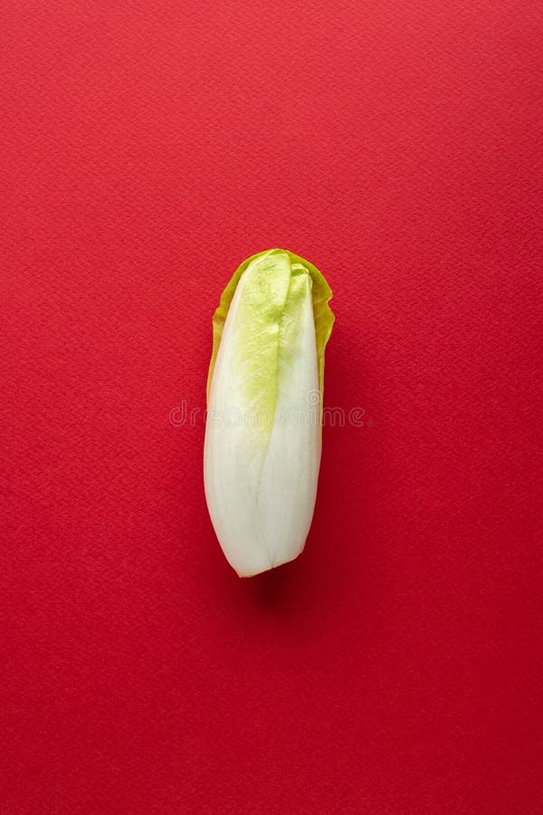 Endive Chicory Root Salad on Red Background Stock Photo - Image of ...