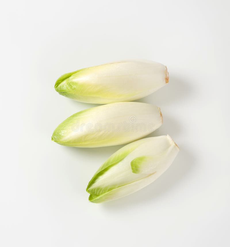 Endive stock photo. Image of food, belgian, bitterish - 63926510