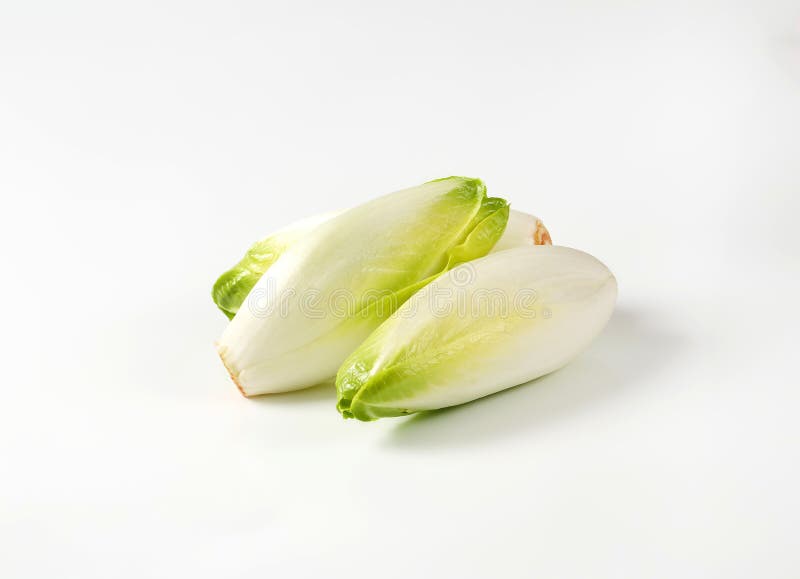 Endive stock photo. Image of food, crispy, head, background - 63926540