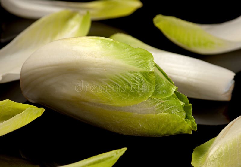 Endive verte sur le noir image stock. Image du ombre - 15834599