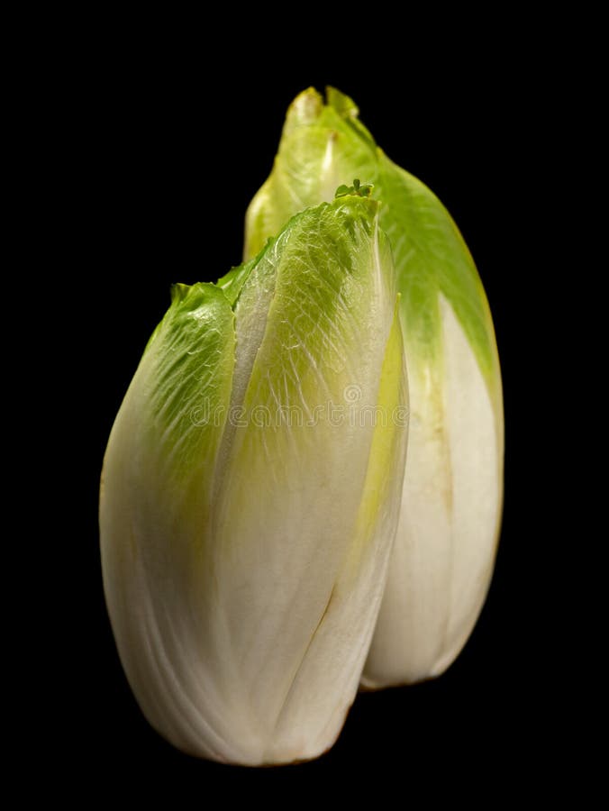 Endive verte sur le noir photo stock. Image du normal - 48571870