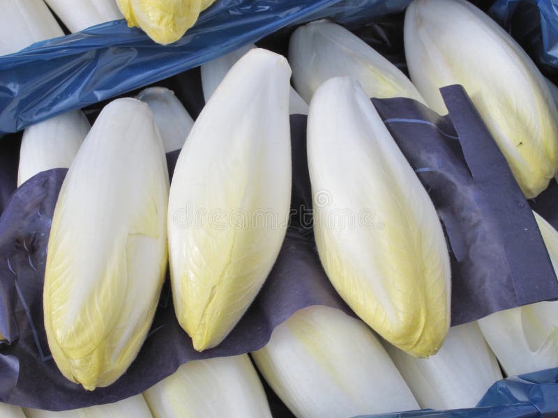 Endives wrapped in box stock image. Image of endive - 167079411