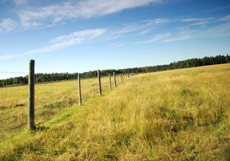 Endless Picture. Image: 6594388