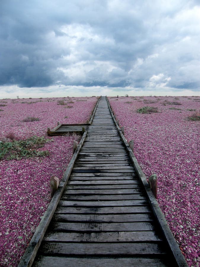 Endless stock image. Image of dungeness, endless, path - 6925187