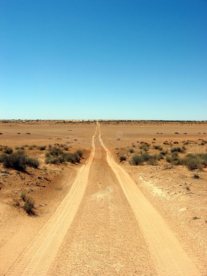 Outback Desert Tree stock image. Image of scene, lone - 29763423