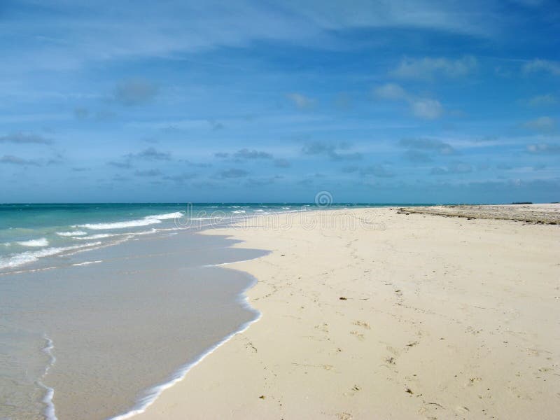 Endless beach stock image. Image of green, blue, waves - 108320023