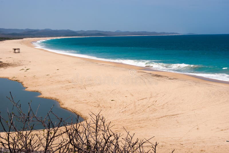 Endless beach stock photo. Image of swimming, blue, surf - 98163292