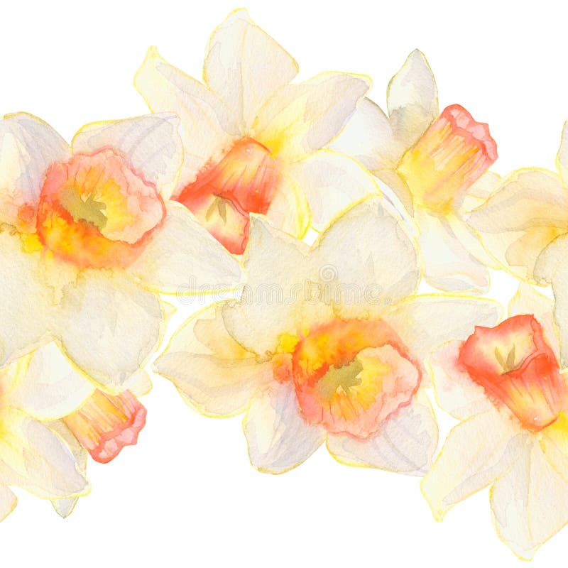 Daffodil Flower Horizontal Seamless Pattern. Endless Border of ...
