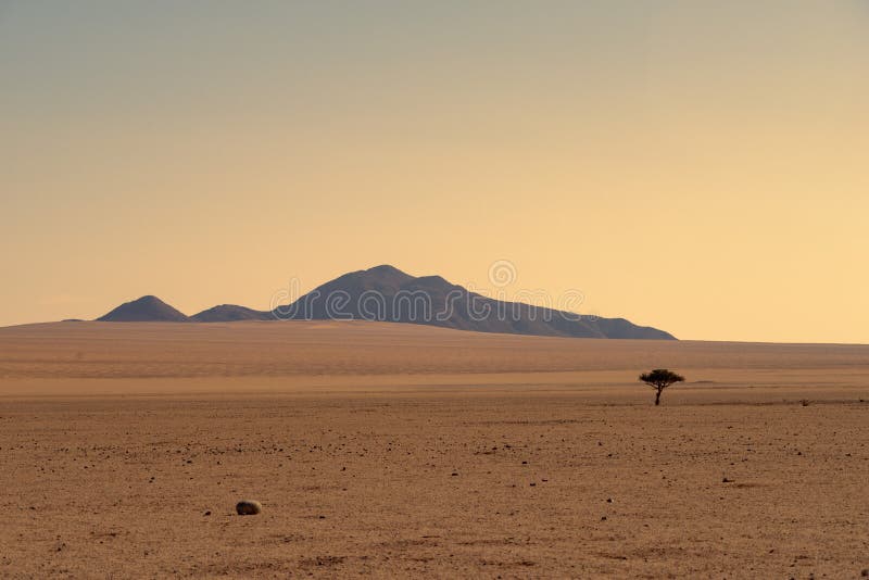 Endless desert landscape stock photo. Image of horizon - 180479858