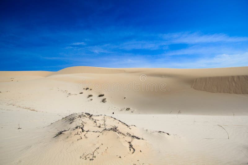Endless desert stock photo. Image of hill, muine, texture - 76635418