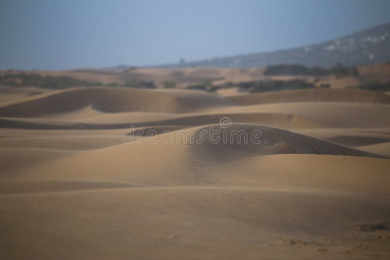 The Endless Dunes of Morocco Stock Photo - Image of scenery, path ...