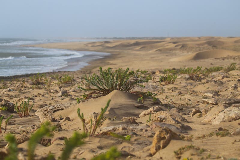 The Endless Dunes of Morocco Stock Image - Image of sand, sandy: 172438053