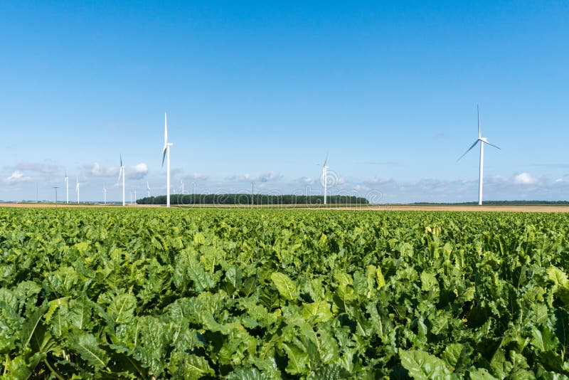 Endless Farm Fields with Green and Yellow Crops and Wind Farm Turbines ...