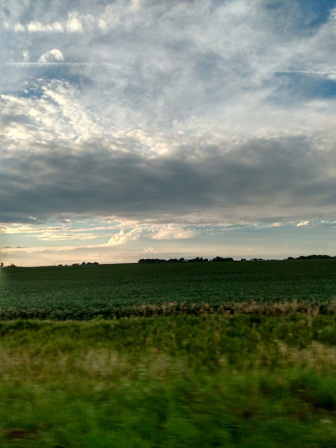 Endless field of dreams stock photo. Image of landscape - 192796478