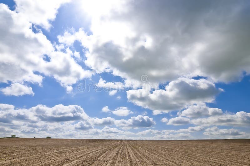 Endless fields stock photo. Image of countryside, crop - 14496604