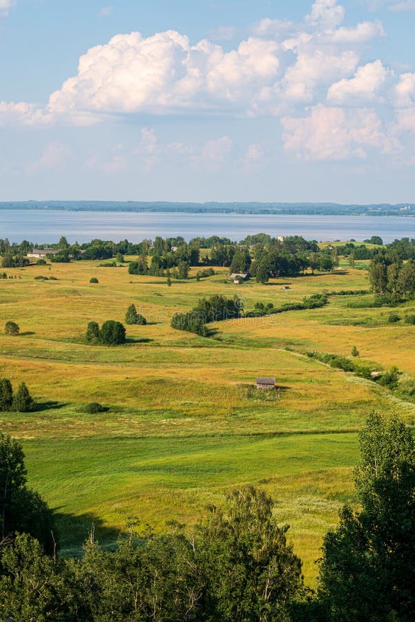 Endless Fields and Forests with Green Trees Under Fog in Countryside ...