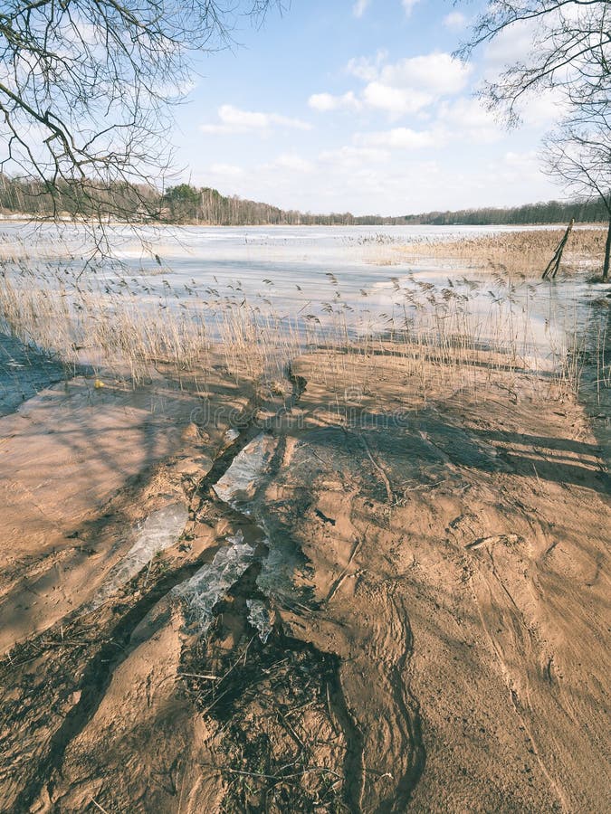 Endless Fields in Spring - Vintage Green Effect Stock Image - Image of ...