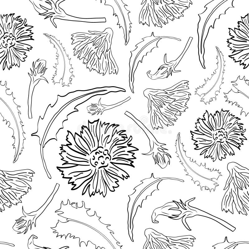 Endless Floral Pattern Graphics Botanical Print . Stock Illustration ...