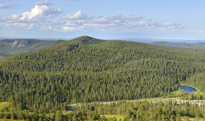 Endless forest stock photo. Image of karelia, peace, north - 39470916