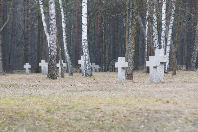 Endless Graveyard in Poland Stock Photo - Image of angle, people: 52077522