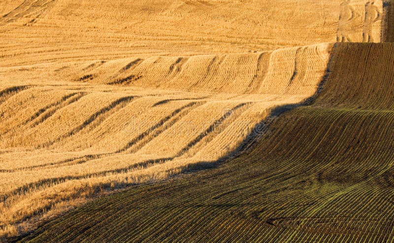Endless Field in the fall stock photo. Image of autumn - 105799864