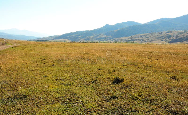 Endless Hilly Steppe with Tall Grass at the Foot of a Mountain Range ...