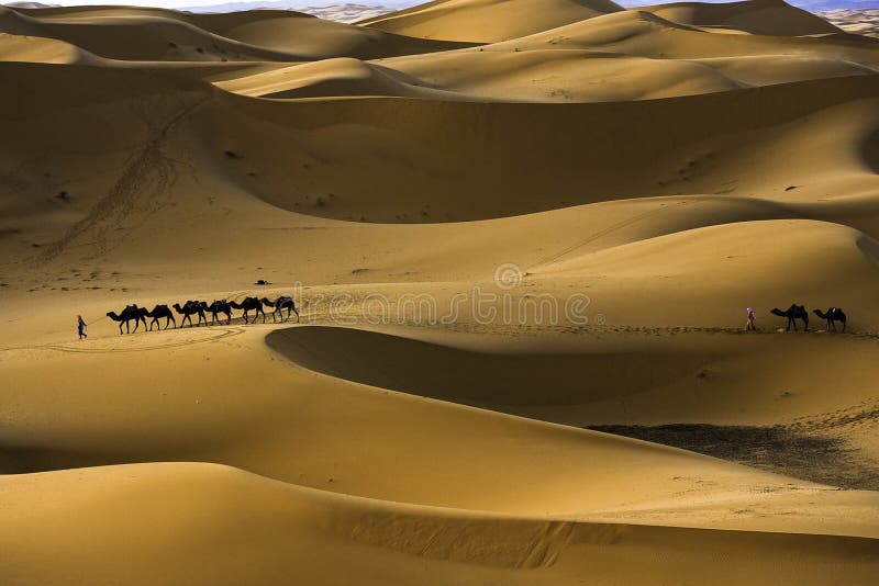 Sahara Desert at Dawn with Caravan Stock Image - Image of badlands, wood: 371970805