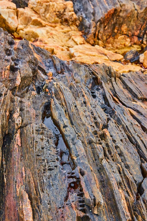 Endless Layers of Rocks on Coast with Holes and Divots and Slots Filled ...