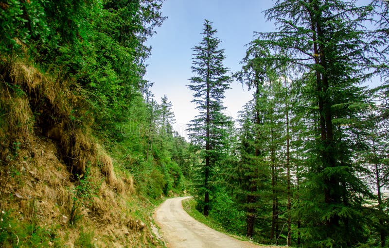 Endless Path for Your Endless Journey Stock Photo - Image of hill ...